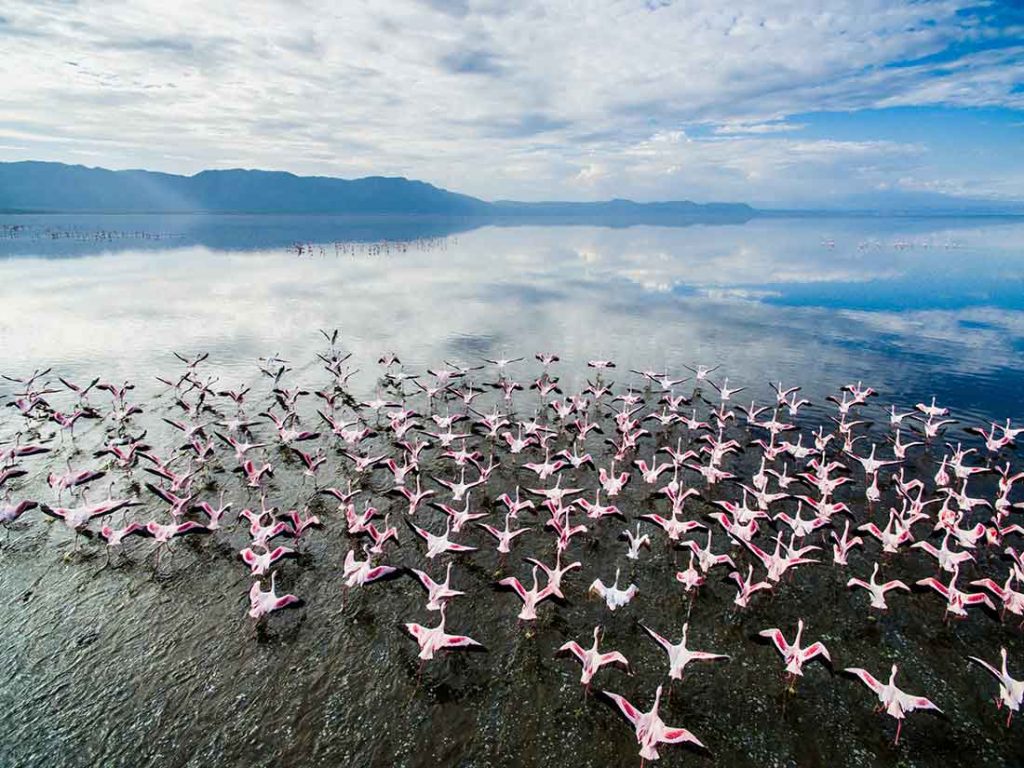 Why Should You Visit Lake Manyara National Park? | Kilimanjaro Sunrise ...