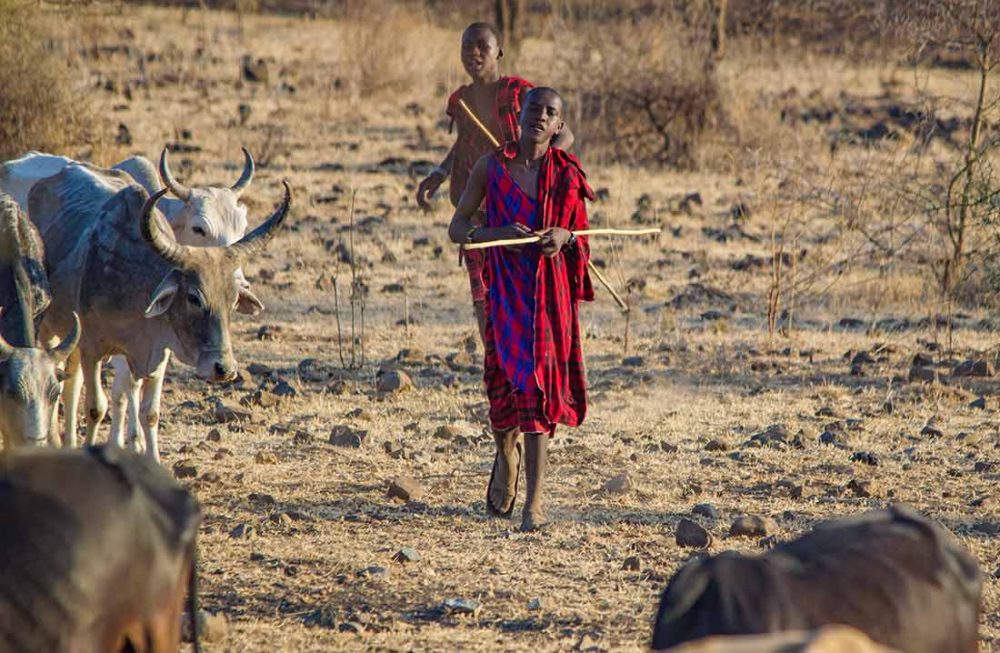 Tribes of Tanzania | Kilimanjaro Sunrise A Trekking Company